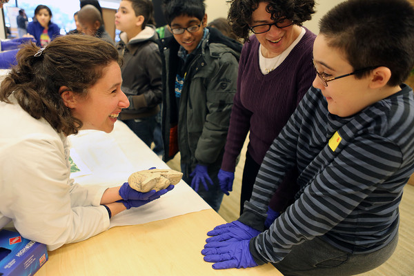 Harvard Brain Basics – Know your brain