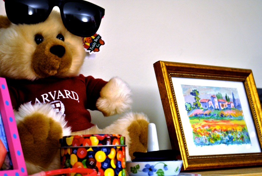 Harvard College Student Blog · Harvard Freshman Housing!