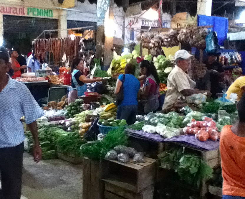 Gringo Manaba | Adventuras y Fantasias or Fantastical Adventures