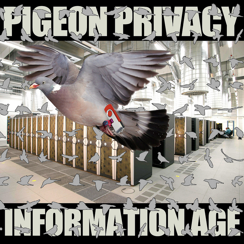 Flying Past Filters and Firewalls: Pigeons as Circumvention Tools ...