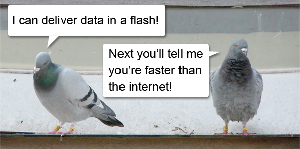 Flying Past Filters and Firewalls: Pigeons as Circumvention Tools ...