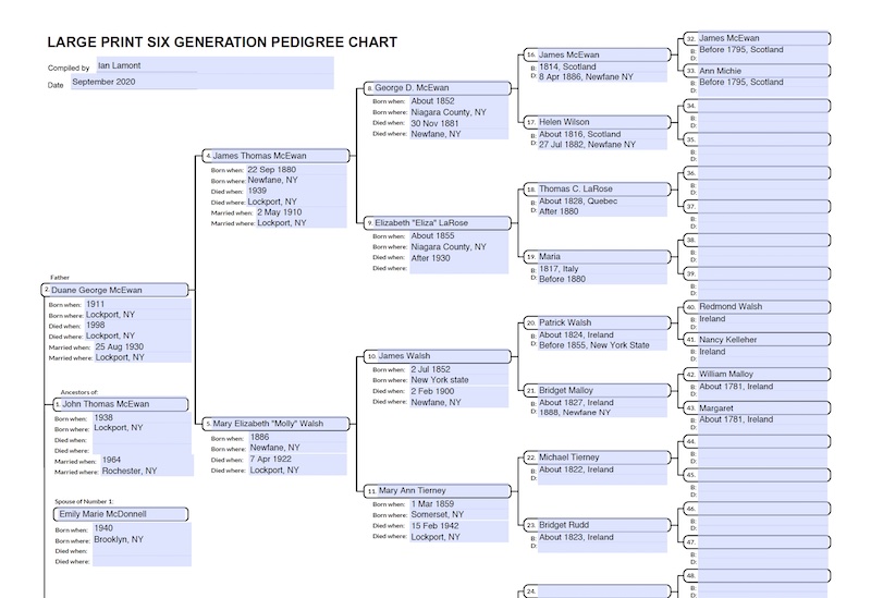 Using fillable genealogy PDFs to pass down family history | Ipso Facto